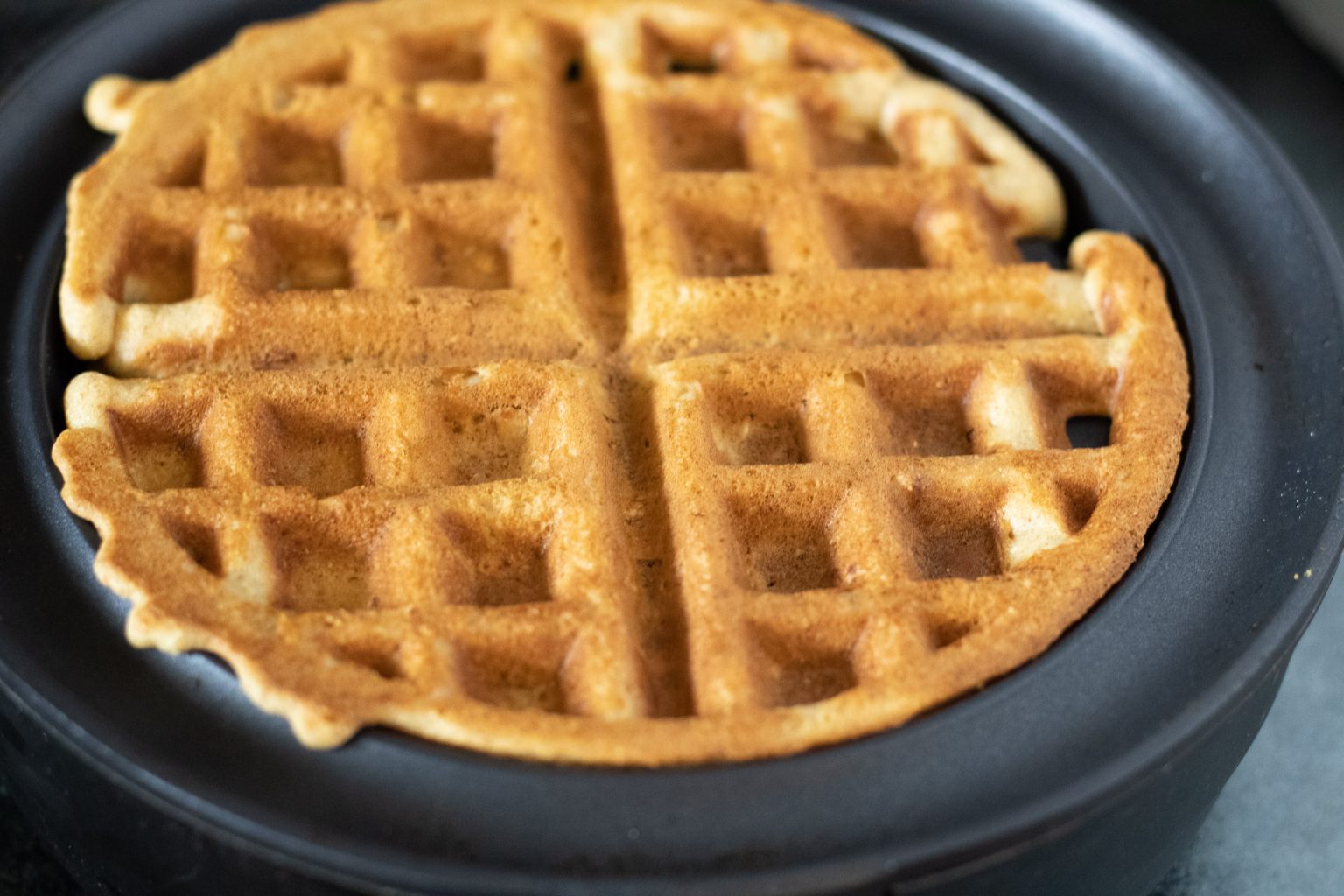 Harvest Multi-Grain Waffles - Ladle and Grain